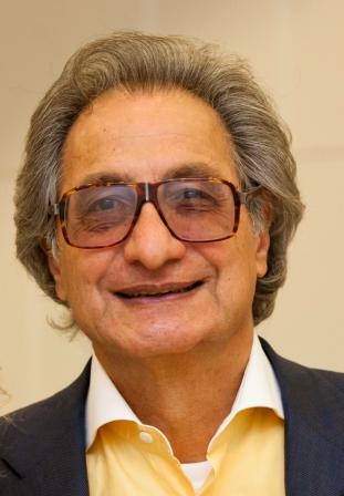 Auction and Pro Presentations